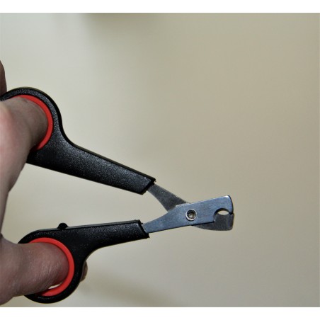 Pour couper les griffes de votre chat