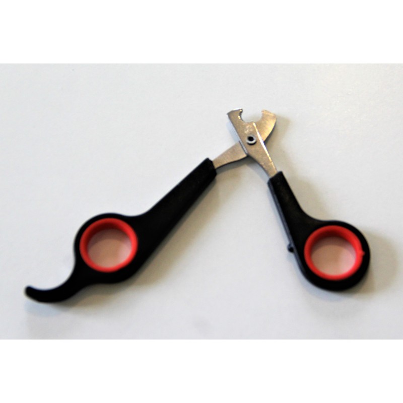 Pour couper les griffes de votre chat